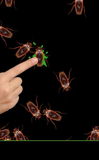 Download And Play Cockroach Simulator Cat Toys On Pc Emulator