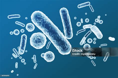 장내 세균 그람 음성 막대 모양의 박테리아 장내 미생물의 일부 및 다른 감염의 원인 물질 3d 렌더링 대장균 Klebsiella Enterobacter 및 기타 0명에 대한