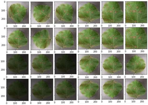Sample Augmented Data Data Is Augmented On The Fly For Different