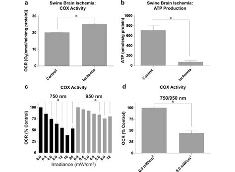 Nir Modulates Cox Function A Cox Activity And B Atp Levels In Control Download Scientific