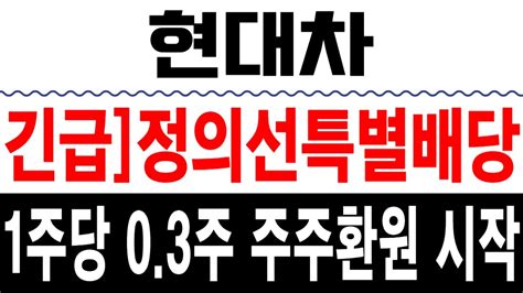 현대차 기아 주가전망 긴급 정의선특별배당 1주당 03주 주주환원 시작 L 기아주가전망 현대차주가전망 기아주가 현대차주가 기아목표가 현대차목표가 주주밸류업프로그램 단타