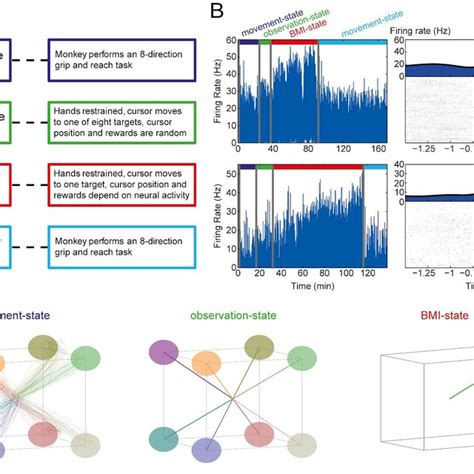 Behavioral Task A Experimental Block Design Of A Single Session B Download Scientific