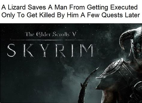 You Cant Just Summarize A Game In One Pict Rskyrimmemes