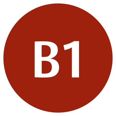 Roller Protector Fsr 5000 Basic Planet