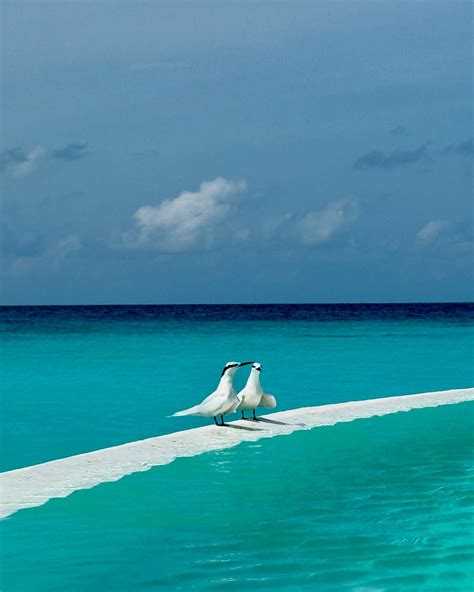 Donna Florenta Donna Florenta Added A New Photo — At