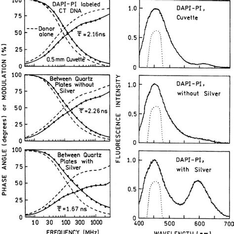 Emission Spectra Of DAPI Labeled DNA And PI Labeled DNA Between Two Download Scientific Diagram