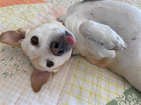 My Adorable Niece Enos Blop R Blop