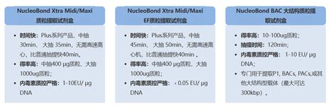 MN胶回收和PCR产物纯化试剂盒 实验室耗材740609 250 Axygen爱思进官网
