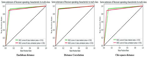 Roc Curve Of The Cnn Extractor In The Lab Download Scientific Diagram