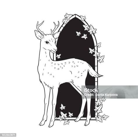 담쟁이 덩굴 라인 아트와 도트 아트 인쇄 디자인 벡터 일러스트 레이 션과 고딕 아치 위에 손으로 그린 사슴 새끼 사슴 가공의 인물에 대한 스톡 벡터 아트 및 기타 이미지