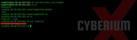 TryHackMe Expose Writeup