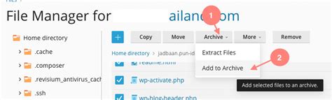 การ Backup ข้อมูล ผ่าน Plesk Control Panel