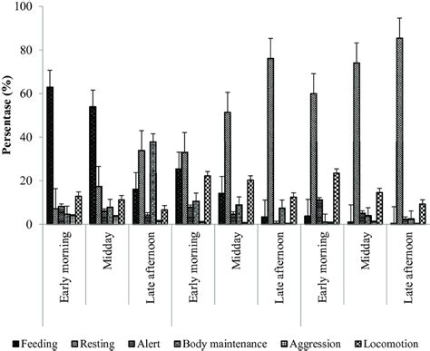 Shorebirds Behaviour Based On Time Period At Mudflat Marsh And Download Scientific Diagram