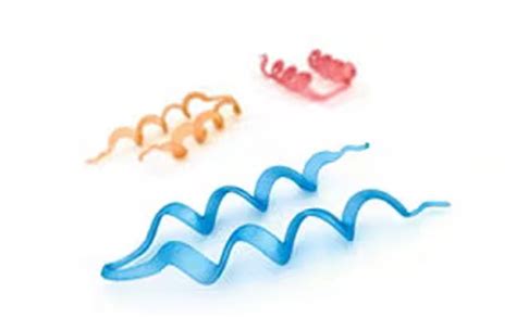 Protein Purification Chromatography