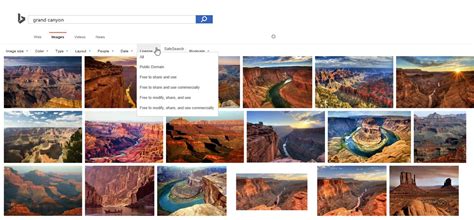 apis for developers series bing search apis search quality insights