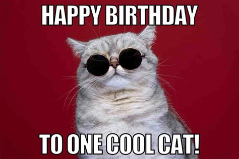 Happy Birthday Cat Meme Funny Happy Birthday Meme