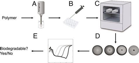 Circularity MIT Climate Sustainability Consortium