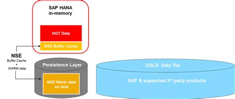 Sap Hana Native Storage Extension A Cost Effectiv Sap Community