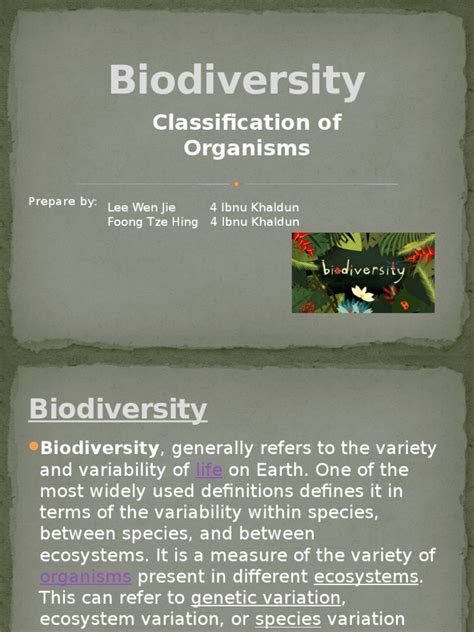 Biodiversity Classification Of Organisms Pdf Plants Fungus
