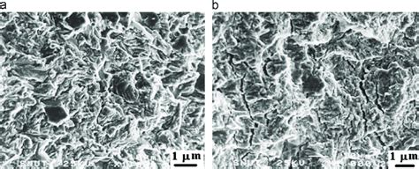 Sem Image Of Fractured Surface Of The Lower Bainite For The Loading Download Scientific Diagram