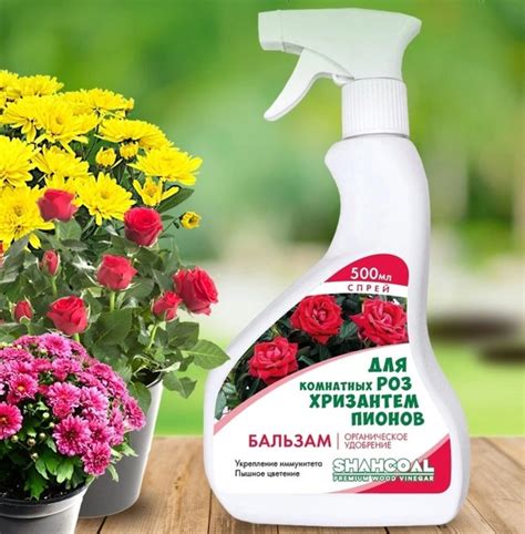 Подарим органические удобрения для комнатных цветов на основе древесного уксуса из скорлупы