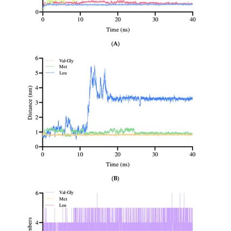 Molecular Dynamic Simulations Of The γ Glutamyl Boggt Download Scientific Diagram
