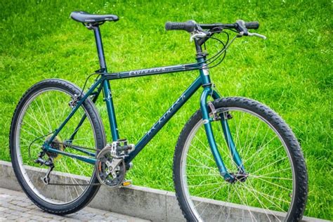 Mc Kinley Evolution Jan