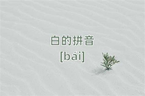 白怎么读 白的拼音 白字的意思 古诗句网