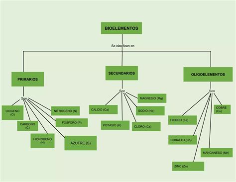 Mapa Conceptual Bioelementos Docx