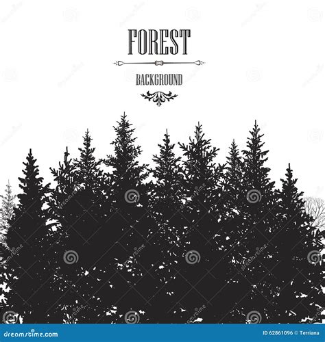 Fir Tree Border Forest Background Tree Silhouette Border Stock