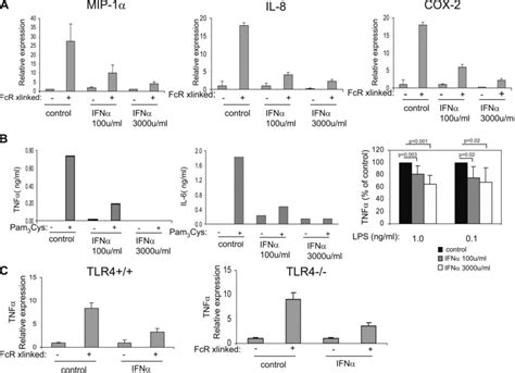 Suppression Of Fcγr Tlr2 And Tlr4 Induced Cytokine Expression By