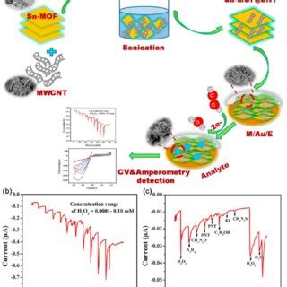 A Detection Of H O By The Electrochemical Sensor Based On The Download Scientific Diagram