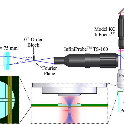 Schematic Of The Microscope System Used For Studying Transport