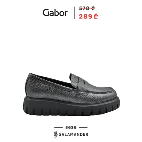 Salamander Salamander Georgia სალამანდრა საქართველო