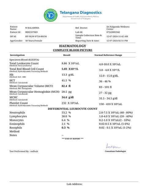 lab report print preview pdf