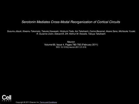 Serotonin Mediates Cross Modal Reorganization Of Cortical Circuits Ppt Download