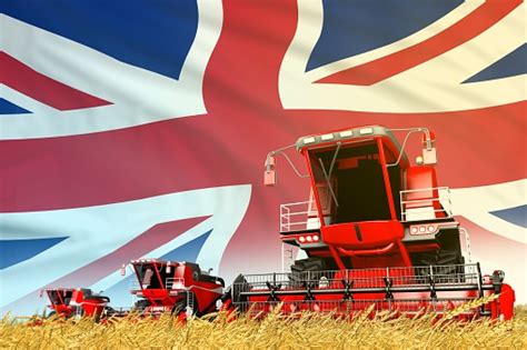 영국 플래그 배경 식품 산업 개념과 필드에 붉은 농촌 농업 결합 수확기 산업 3d 일러스트 3차원 형태에 대한 스톡 사진 및 기타 이미지 Istock