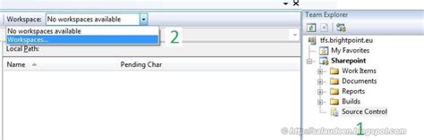 TFS Basics Tutor For End User SharePoint Diary
