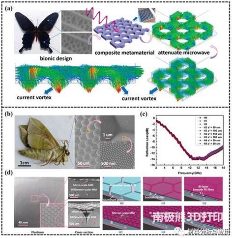 西北工业大学：3d打印石墨烯基超材料的最新发展和应用 中国3d打印网