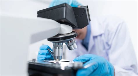 Gate 2024 Biotechnology Bt Question Paper Download Memory Based
