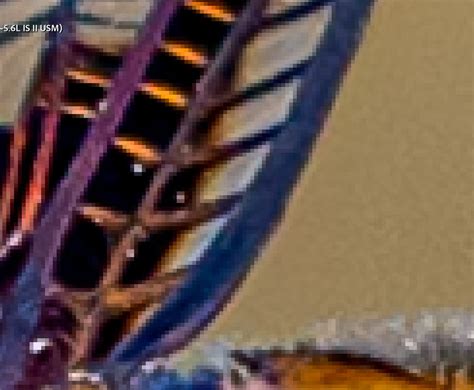 Difference Between View In Library And Edit Mode Adobe Community 11719796