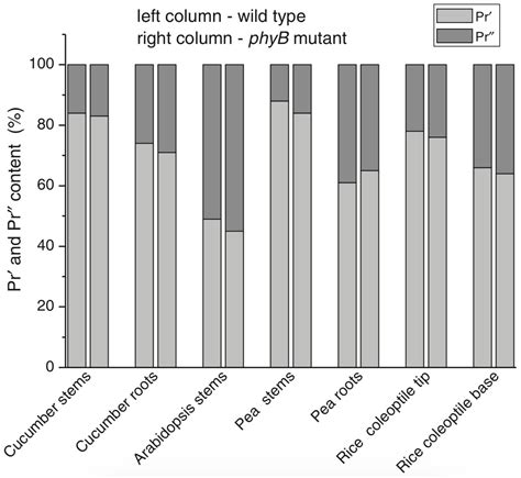 Two Distinct Molecular Types Of Phytochrome A In Plants Evidence Of Existence And Implications