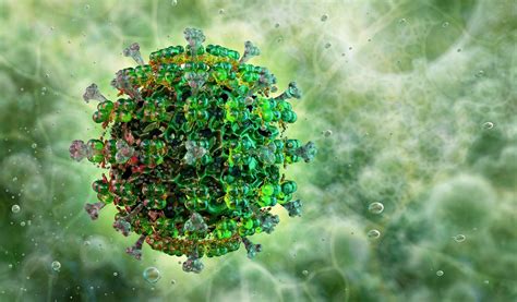 Endogenous Retroviruses The Viral Relics Shaping Genomic Evolution