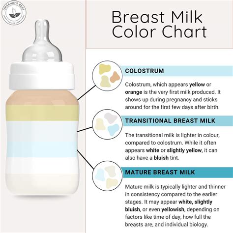 Understanding The Stages Of Breast Milk A Comprehensive Guide