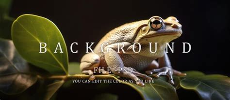 Premium PSD Australian Tree Frog On A Leaf