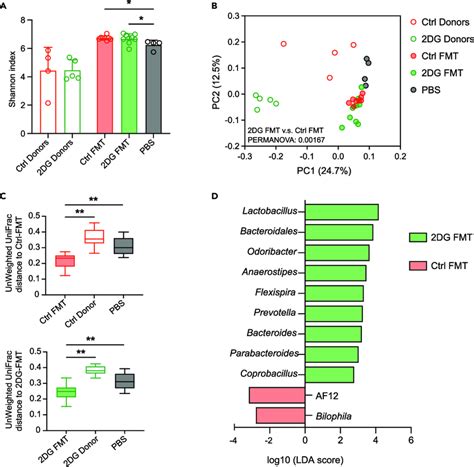 Fmt From 2dg Treated Mice Results In A Hybrid Microbial Signature In
