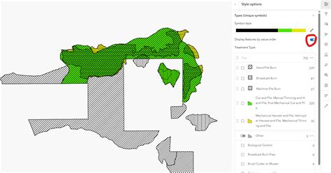 Re Vector Polygons Do Not Respect Feature Display Esri Community