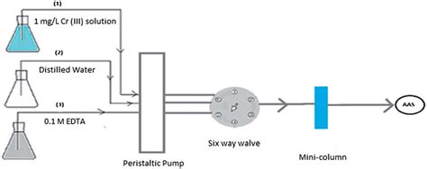 Scheme Of The Online Preconcentration Flow Injection System Download