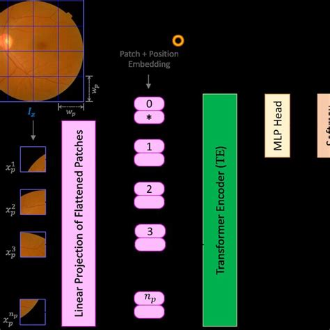Internal View Of A Transformer Encoder Te Download Scientific Diagram