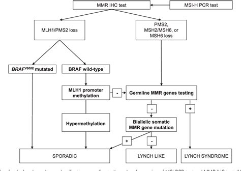 Pdf Braf V600eras Mutations And Lynch Syndrome In Patients With Msi